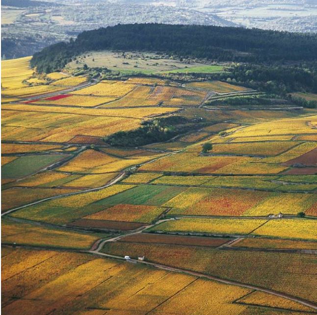 Champagne Bourgogne Unesco – Le journal d'iDealwine sur l'actualité du vin