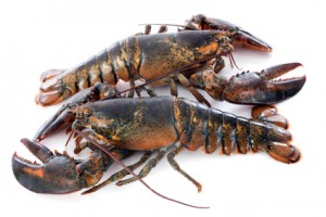 Recette de la semaine – Homard grillé au beurre salé d’Olivier