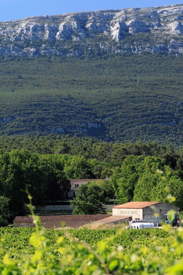 Domaine de Triennes : le style bourguignon au cœur de la Provence