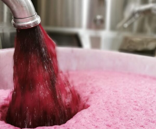 Domaine de Triennes : le style bourguignon au cœur de la Provence – Le ...