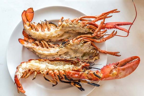 Accords mets et vins : poissons, crustacés et fruits de mer – Le ...