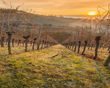 Bordeaux | Rive gauche, rive droite, quelles différences ? – Le journal ...