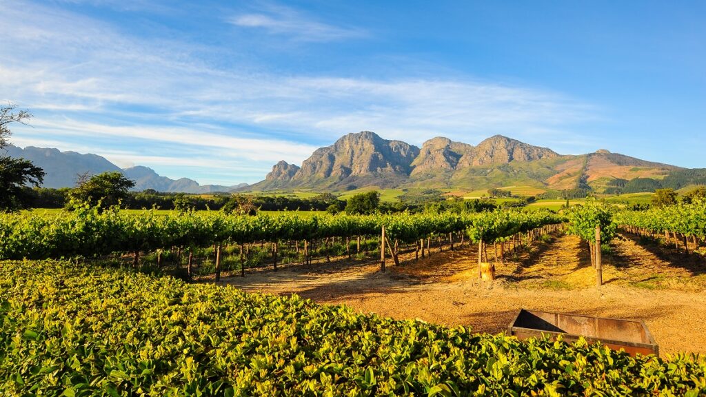 Bordeaux | Rive gauche, rive droite, quelles différences ? – Le journal ...