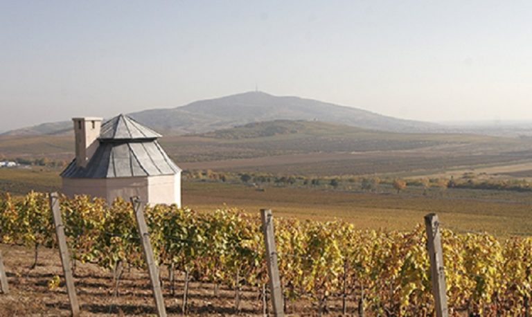 Domaine Disznoko | Tokaj, ou l’or de la Hongrie