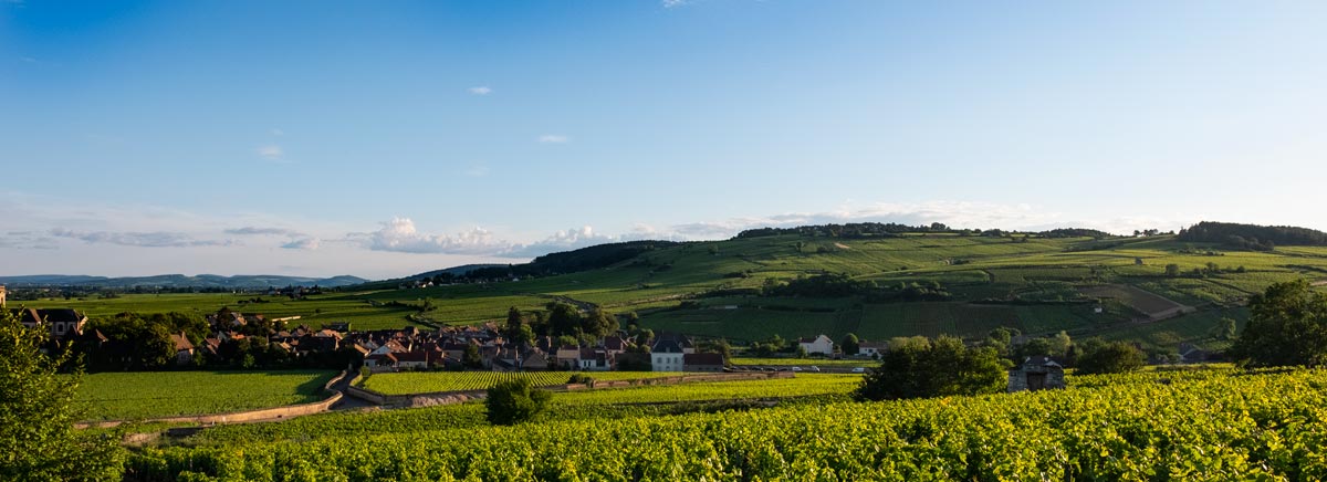 Frédéric Leprince | En un mot : authentique – Le journal d'iDealwine ...