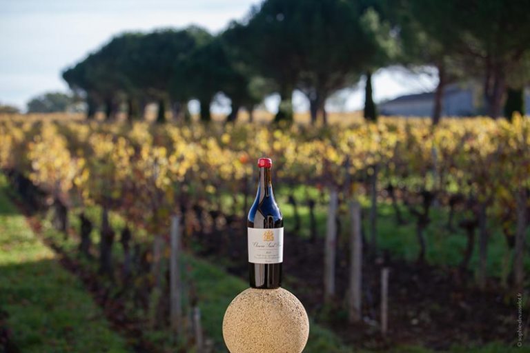 La Closerie Saint Roc, le nouveau domaine biodynamique et nature à ...