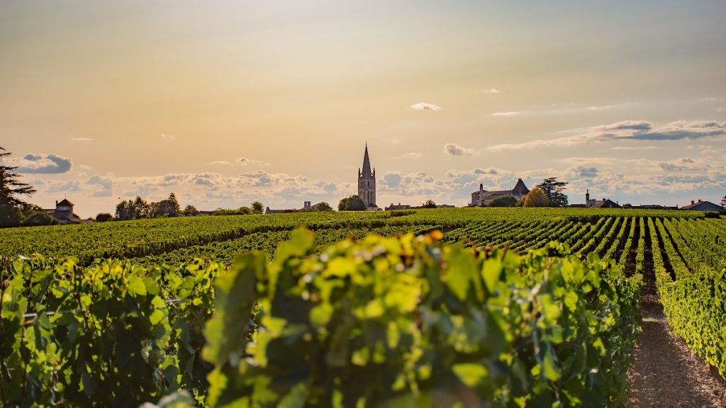 Bordeaux | Rive gauche, rive droite, quelles différences ? – Le journal ...