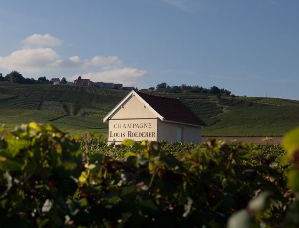 Louis Roederer : prestige en Champagne depuis 1776 – Le journal d ...