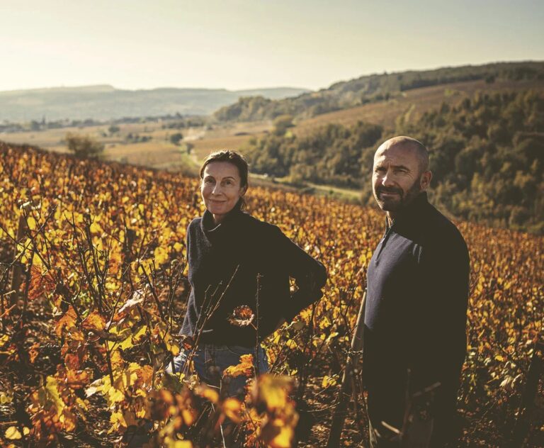 Le domaine Marc Colin, ambassadeur des grands blancs de la Côte de ...